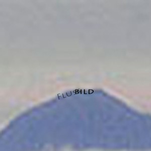 Kathrin Schmidt: Flußbild mit Engel