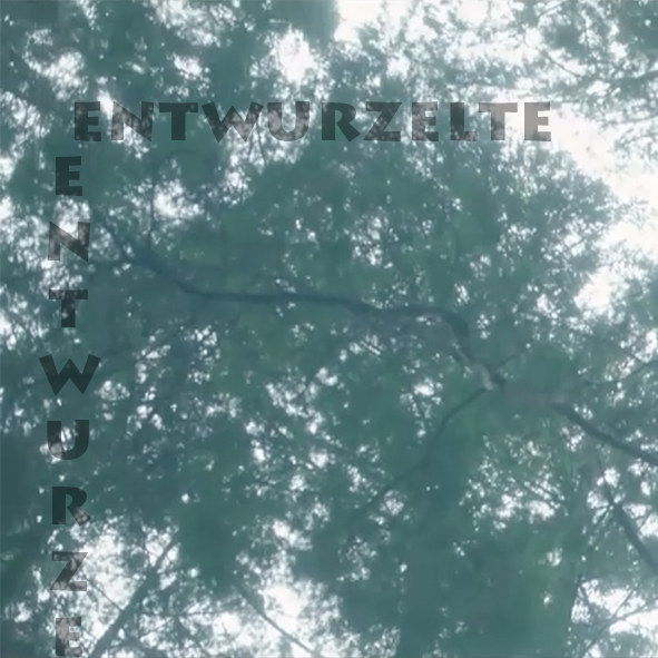 Leiner, Jakob Archives - planetlyrik.de